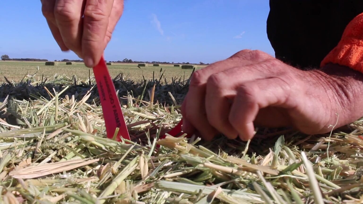 Quality Assurance - Hay Australia