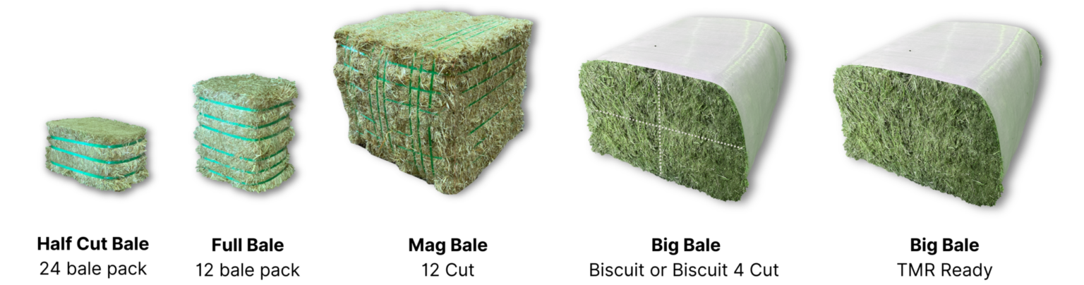 International Customers - Hay Australia