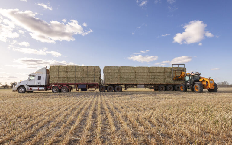 Grower Partnerships - Hay Australia