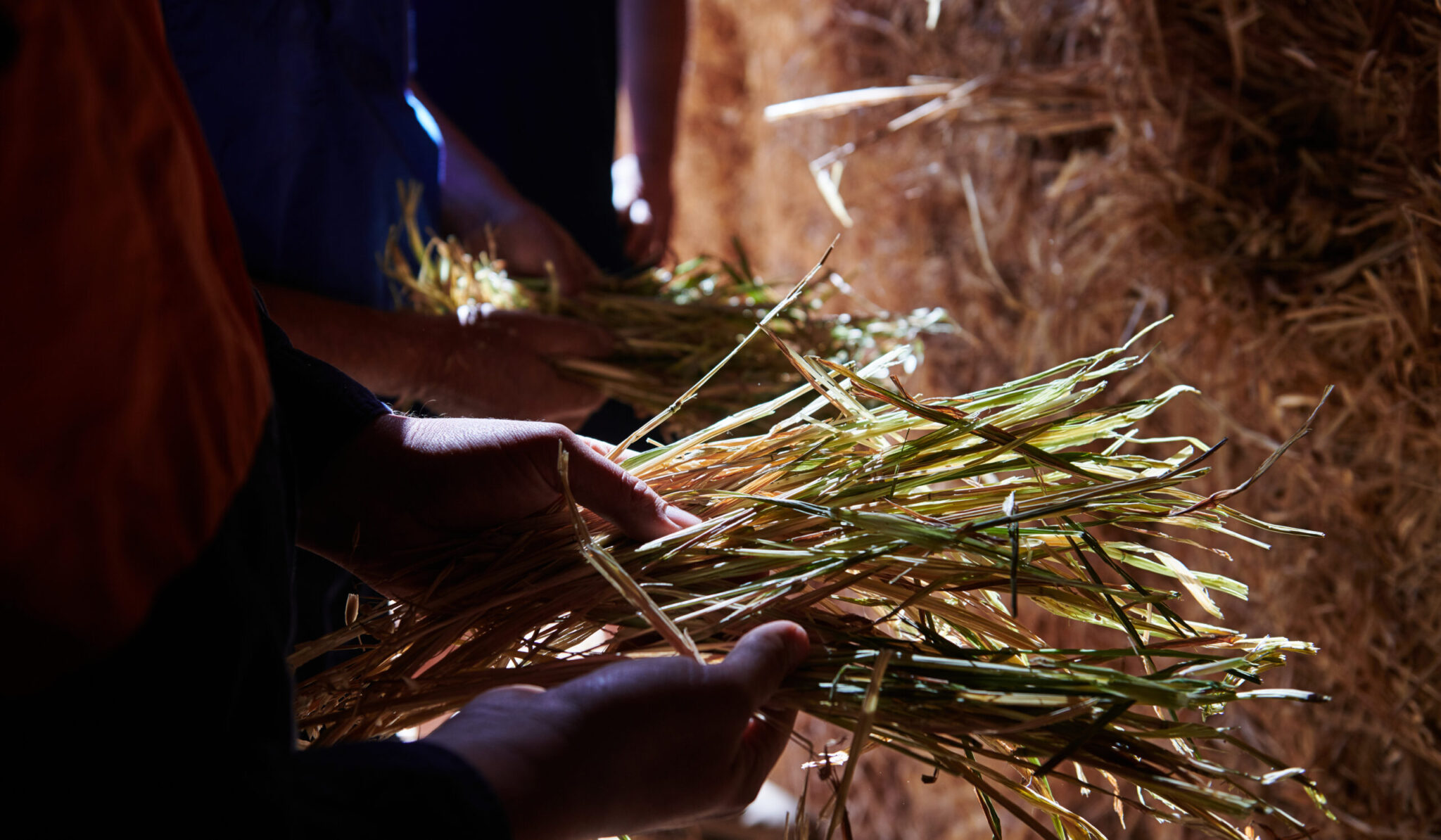 Grower Partnerships - Hay Australia