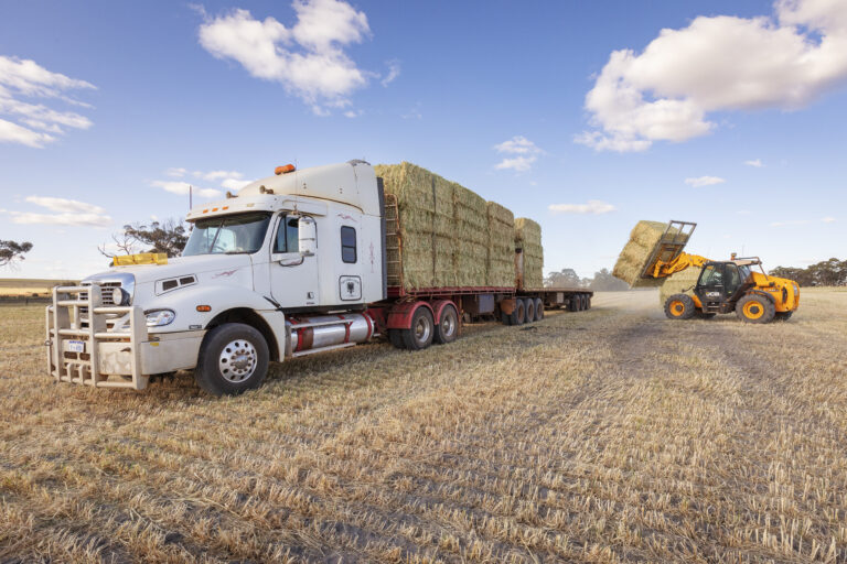 New Customers - Hay Australia