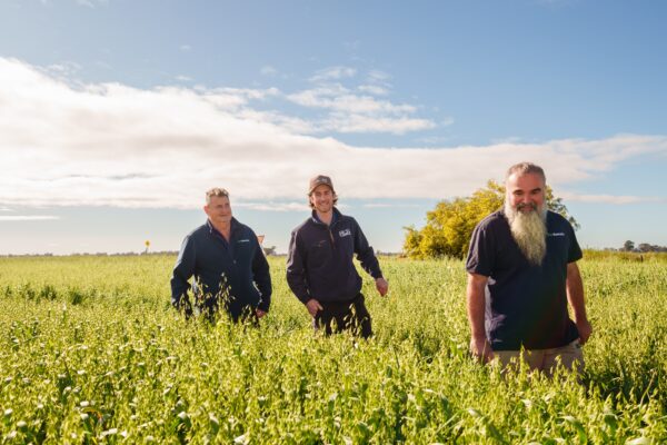 Grower Partnerships - Hay Australia