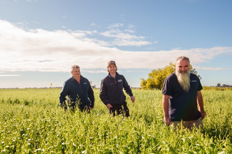 Grower Partnerships - Hay Australia